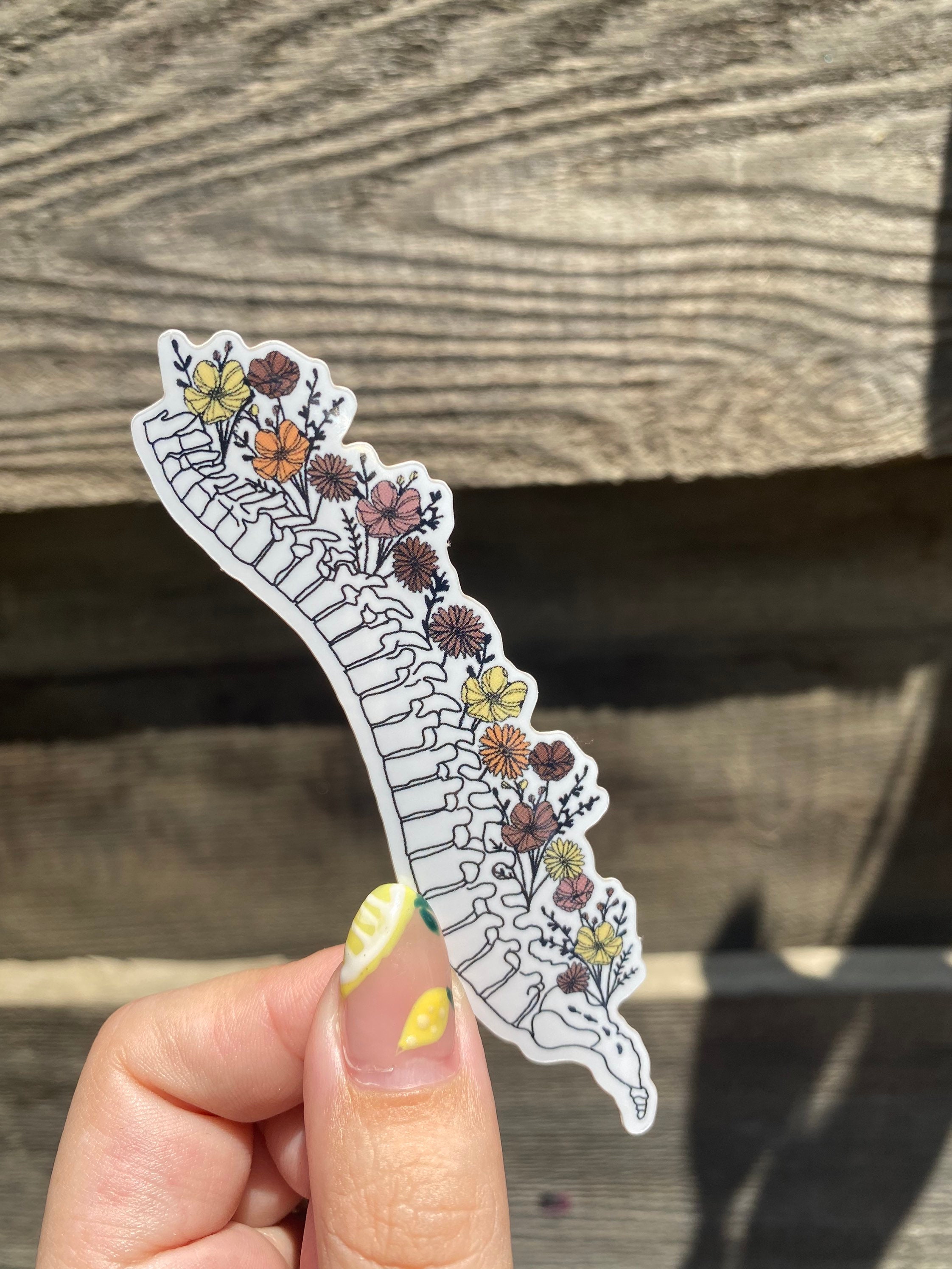 Spine Anatomy Sticker Spine With Florals Vinyl Sticker - Etsy