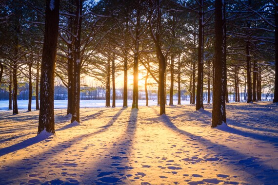 Lexington Kentucky Winter