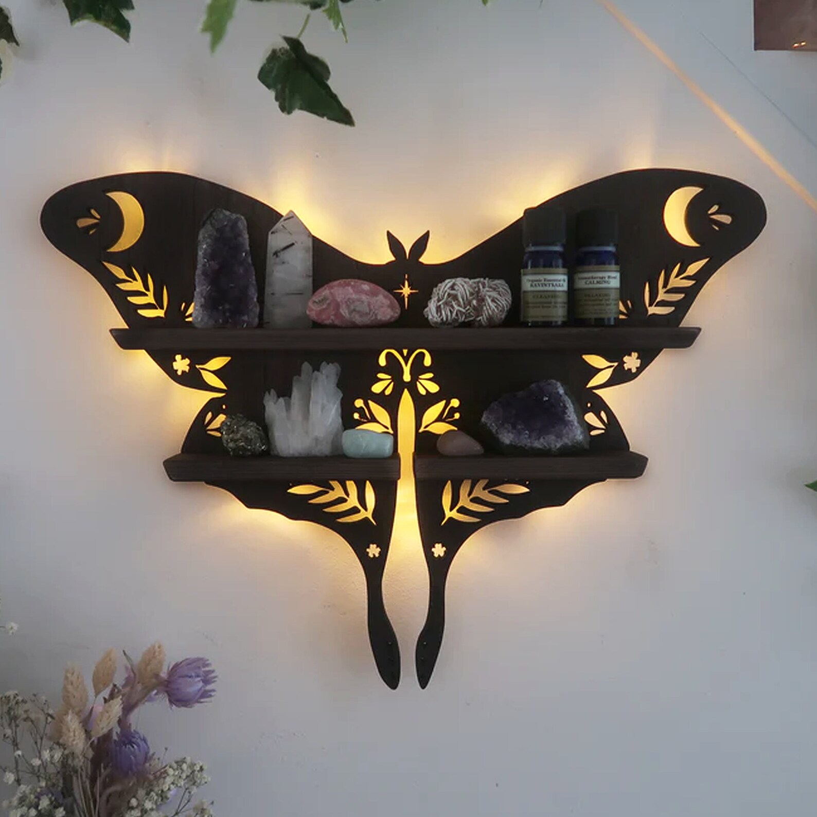 Luna Moth Shelf Luna Moth Lamp Luna Moth Wooden Crystal - Etsy Australia