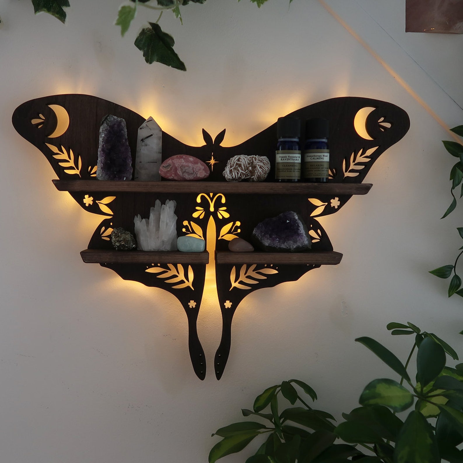 Luna Moth Shelf Luna Moth Lamp Luna Moth Wooden Crystal - Etsy