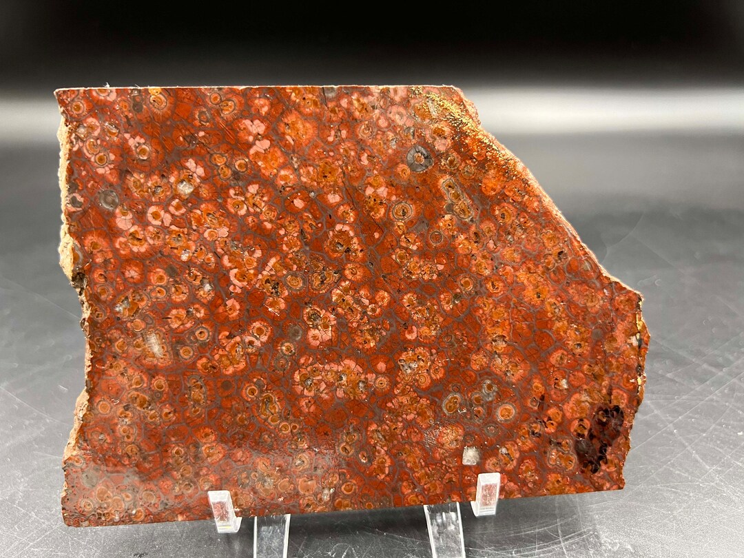 Birds Eye Rhyolite Slab - Etsy