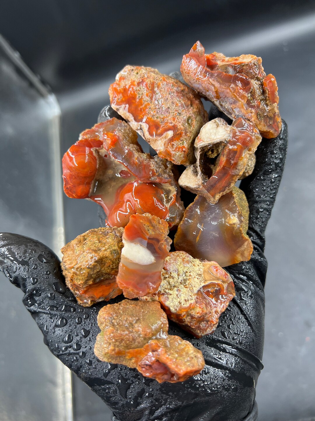 Apache Agate Rough - Etsy