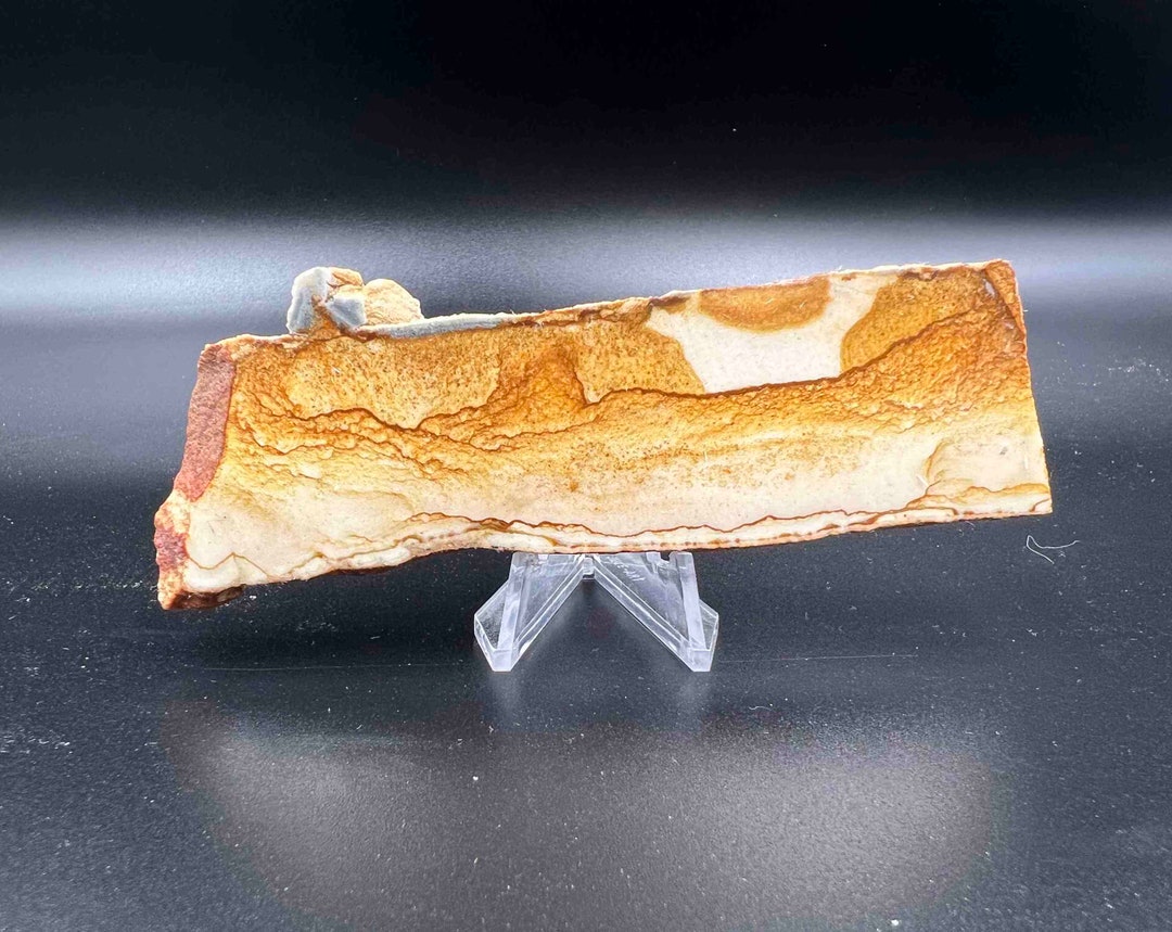 Chicken Track Jasper Slab Oregon - Etsy