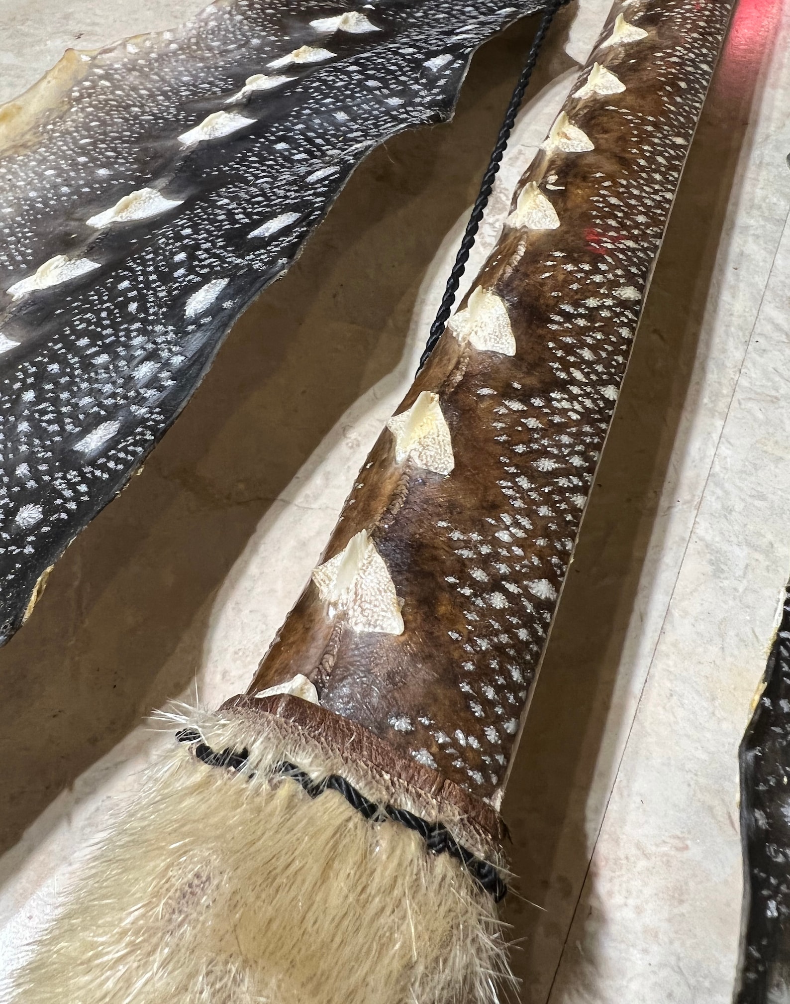 Sturgeon Skin Bow Backing with Scoots - Etsy