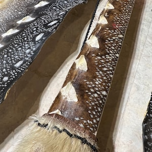 Sturgeon Skin Bow Backing (with Scoots) - Etsy