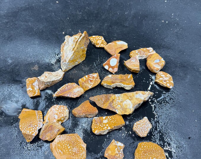 Fawn Skin jasper lot - Etsy 日本