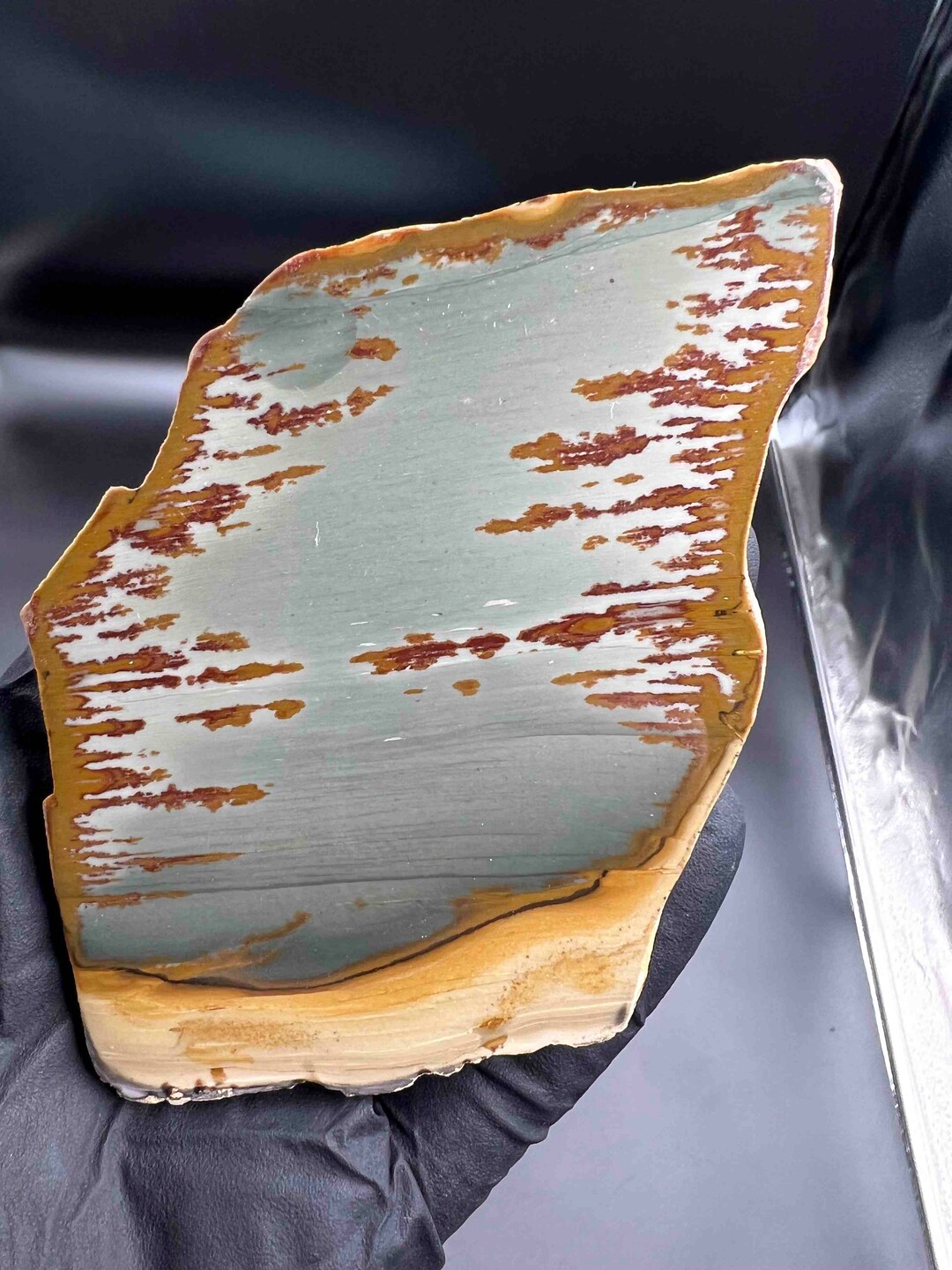 Gem Owyhee Picture Jasper Polished - Etsy