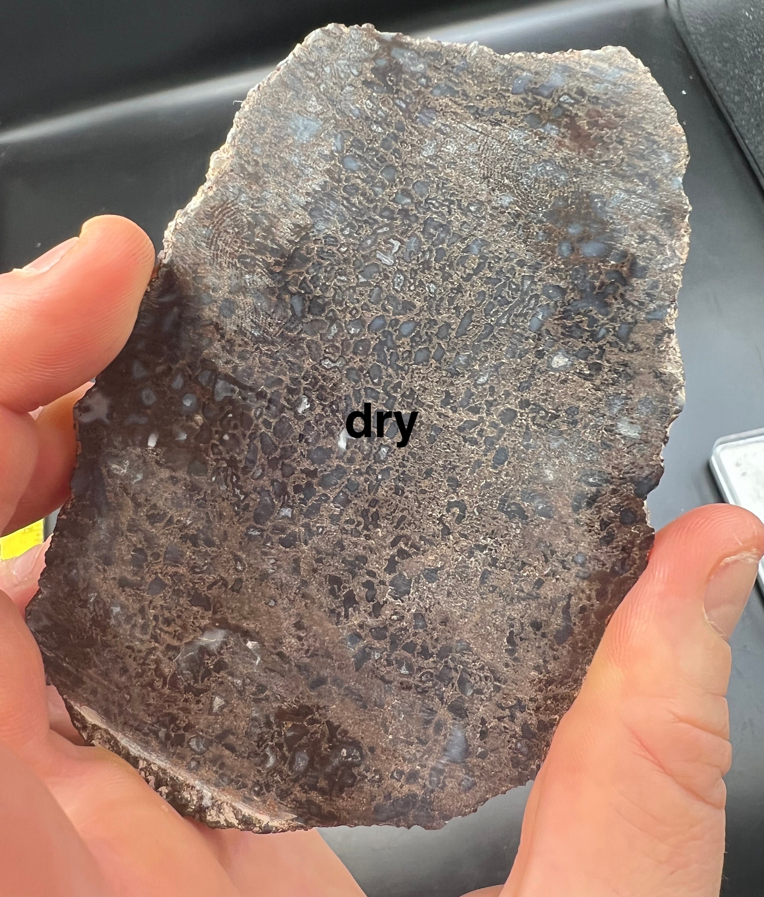 Gem Bone Slab - Etsy