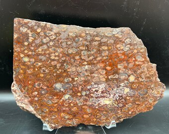 Rhyolite Slab - Etsy