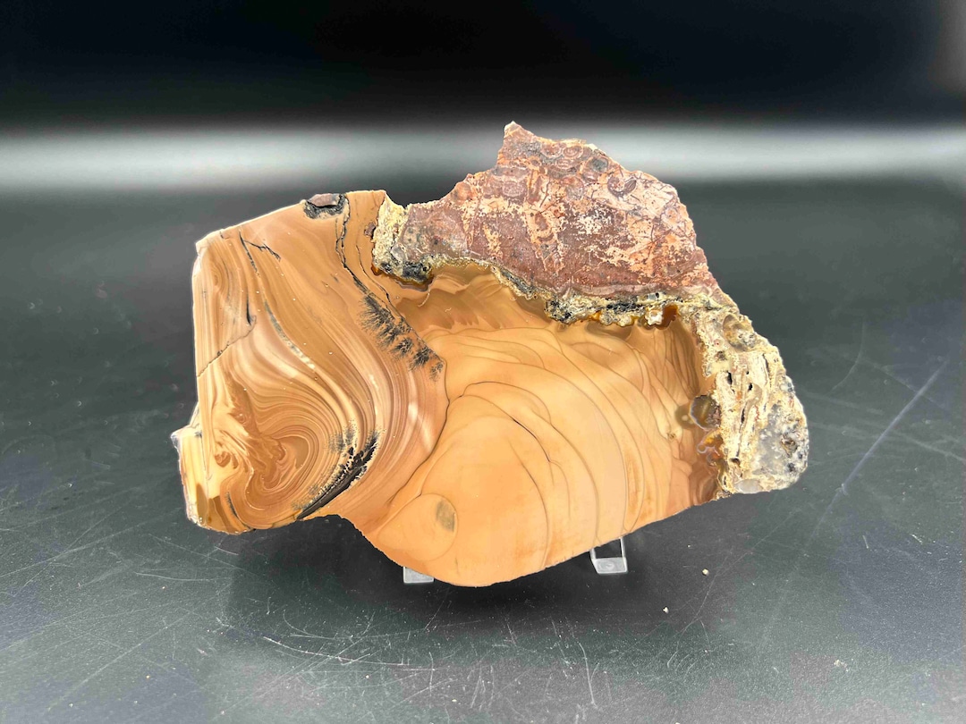 Polished Willow Creek Jasper Specimen - Etsy