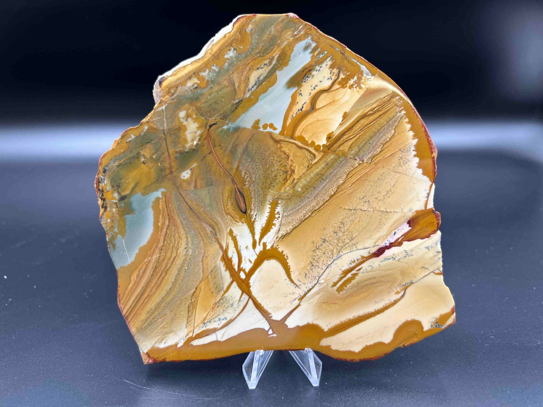 Gem Owyhee Picture Jasper Polished - Etsy