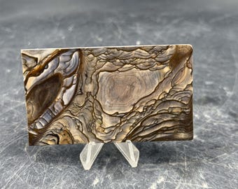 Beautiful Blue Biggs Jasper Polished Specimen Pair. One Slab One Faced ...