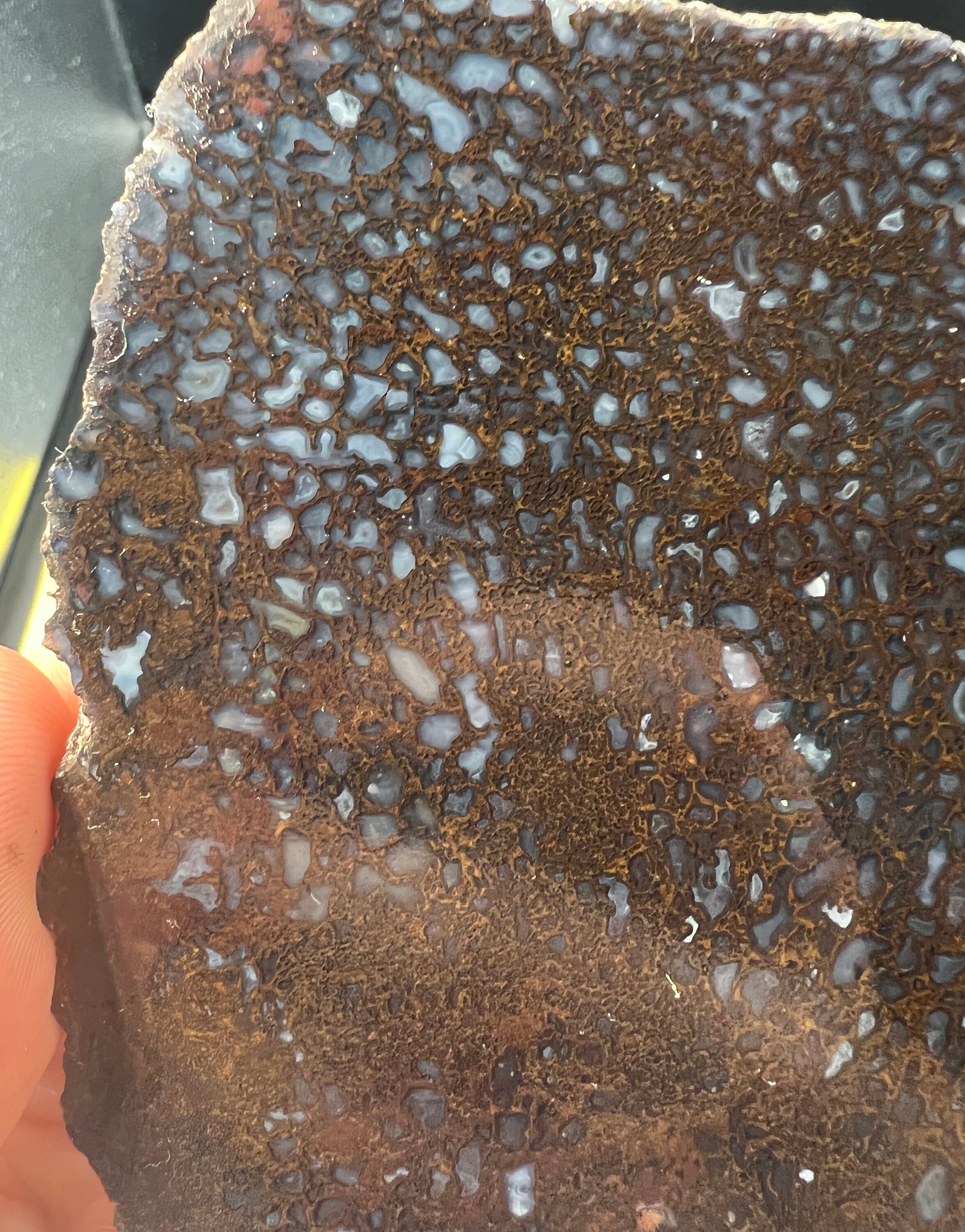 Gem Bone Slab - Etsy