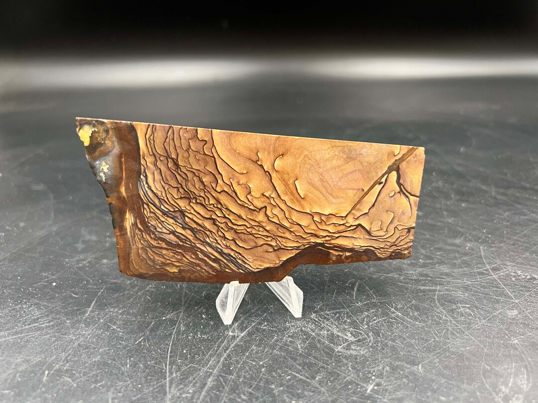 Deschutes Picture Jasper Slab - Etsy