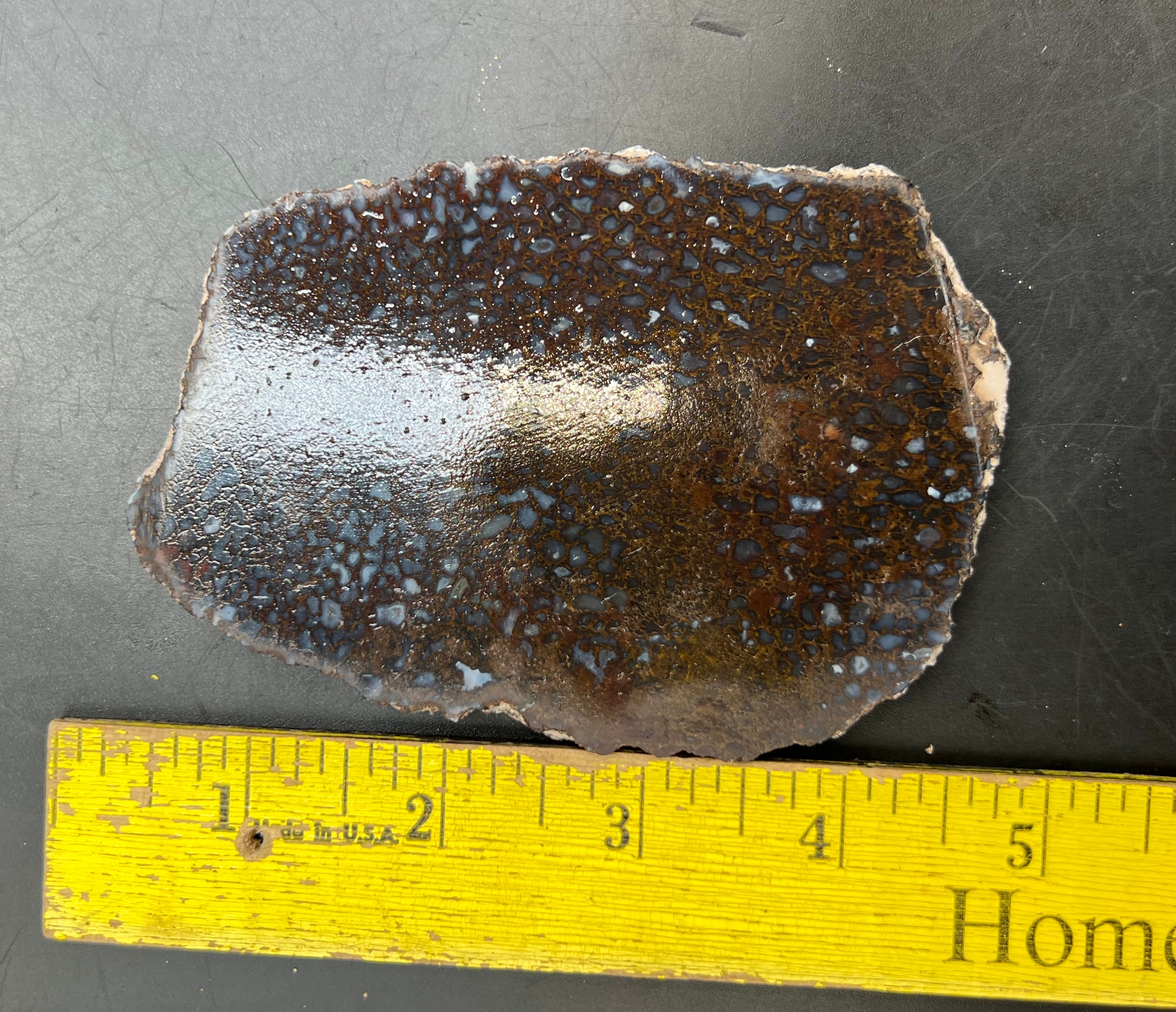 Gem Bone Slab - Etsy