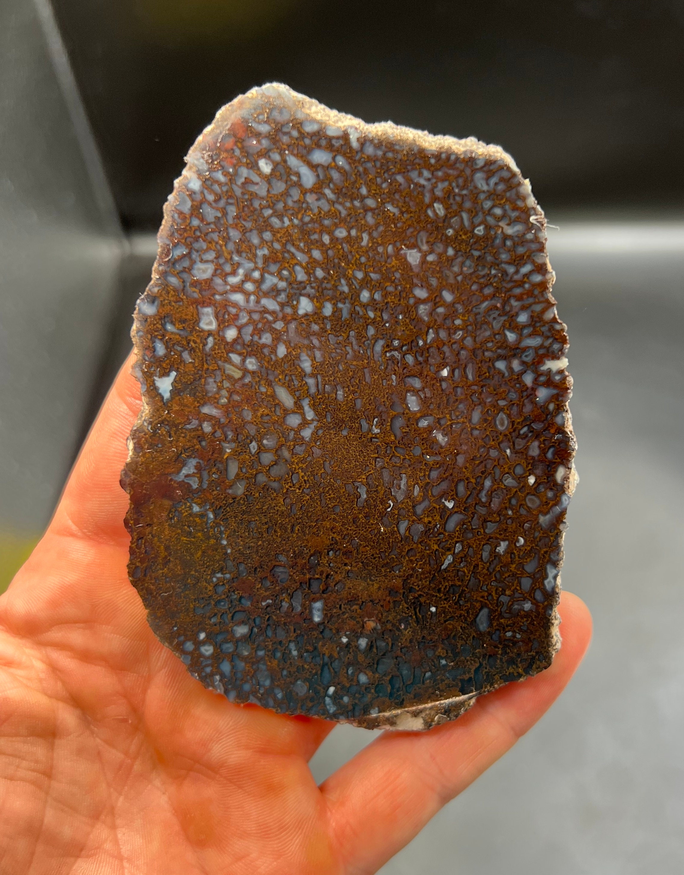 Gem Bone Slab - Etsy