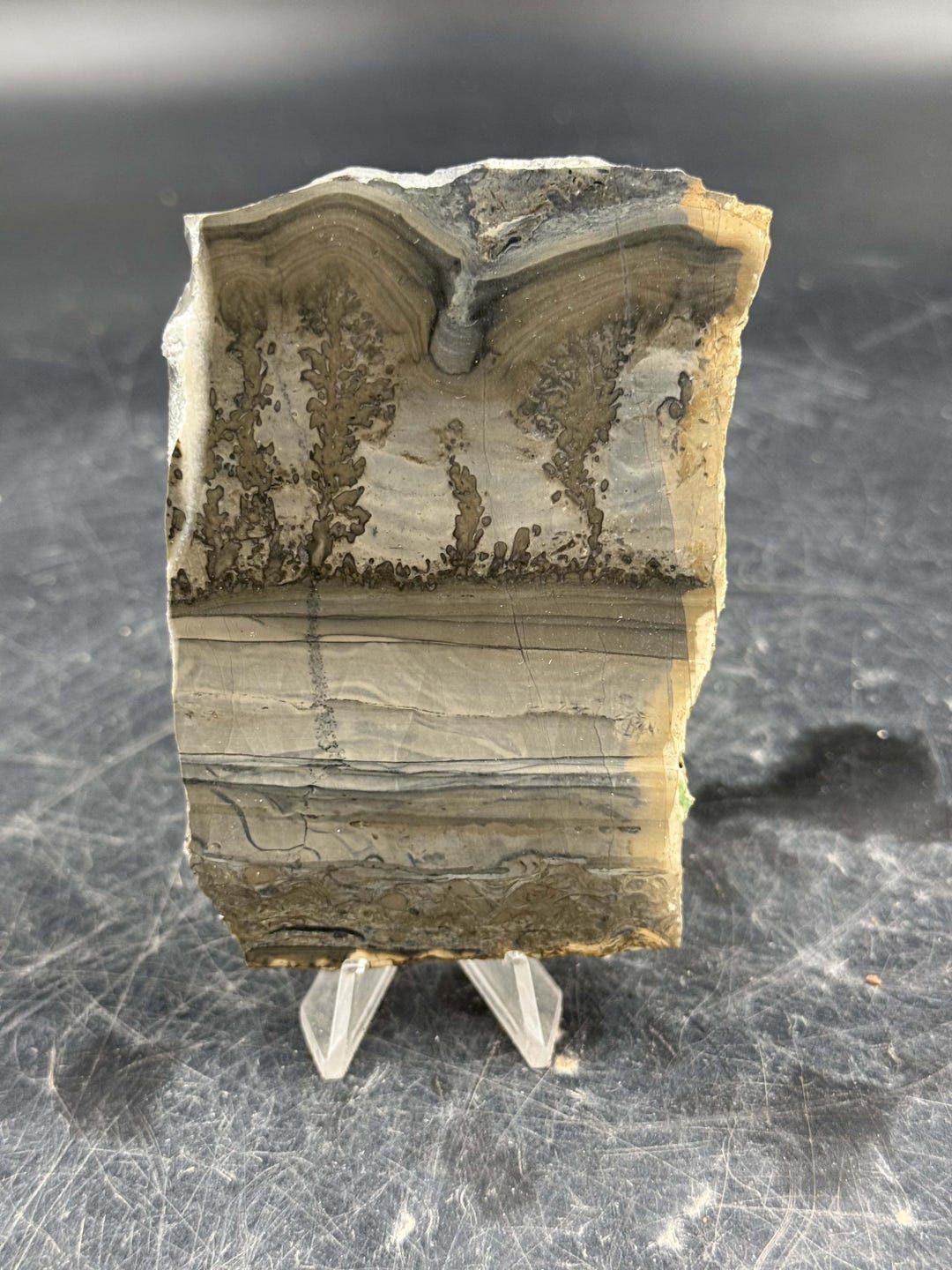 Cotham Marble Slab Polished - Etsy