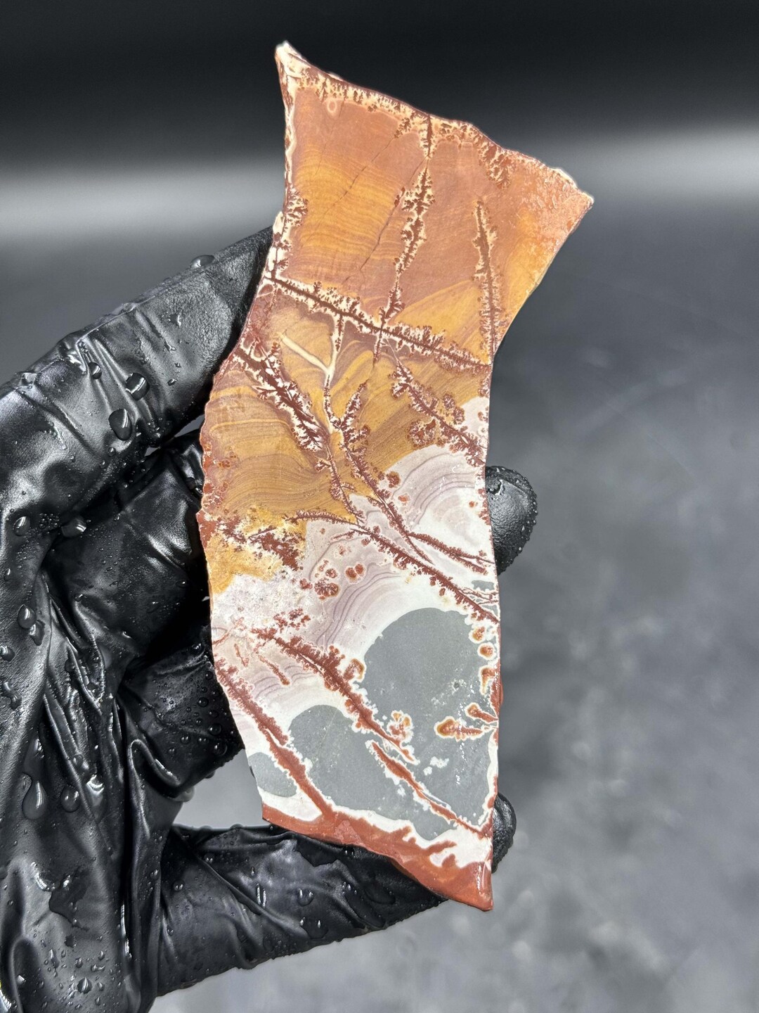 Sonoran Dendritic Rhyolite Slab - Etsy