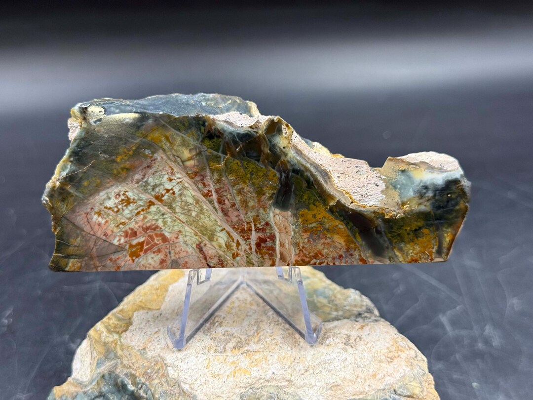 Morrisonite Jasper Polished End Cut - Etsy