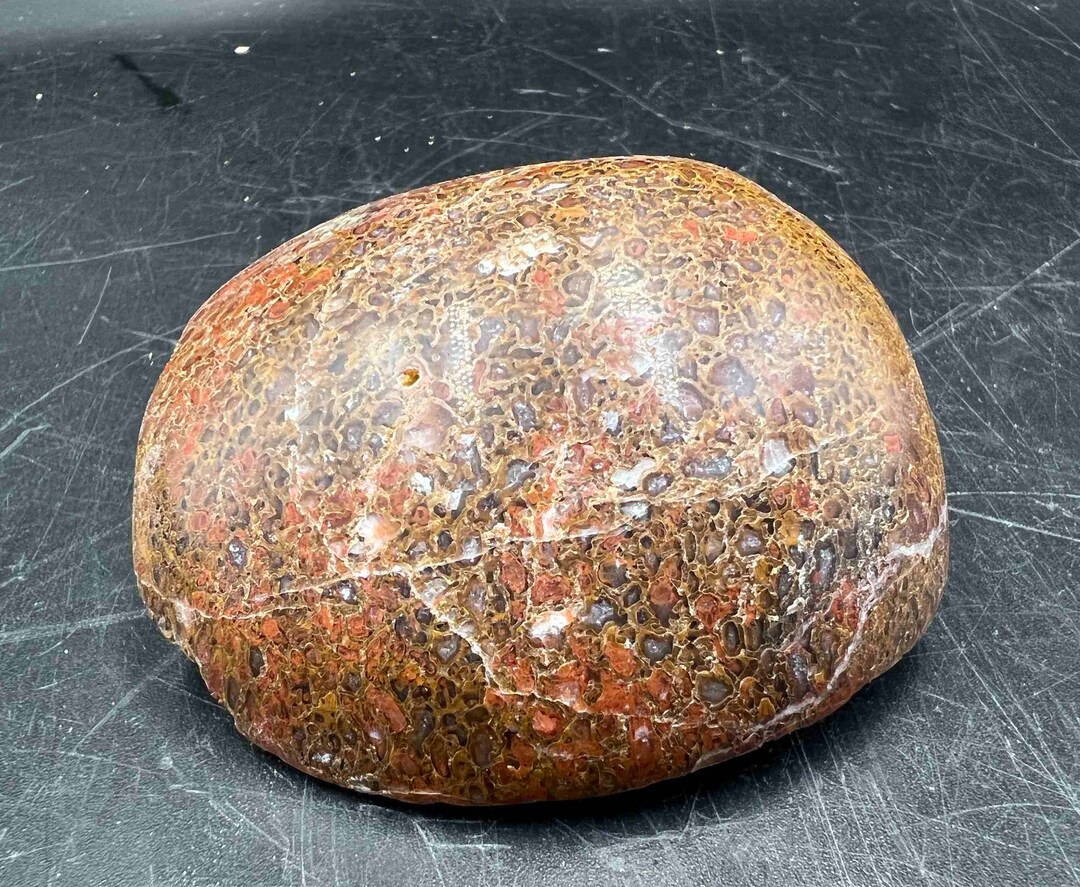 Gem Bone Polished Piece - Etsy