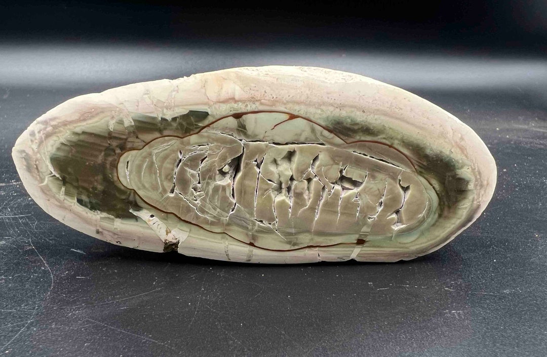 Royal Imperial Jasper Polished Both Sides - Etsy