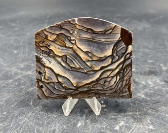 Beautiful Blue Biggs Jasper Polished Specimen Pair. One Slab One Faced ...