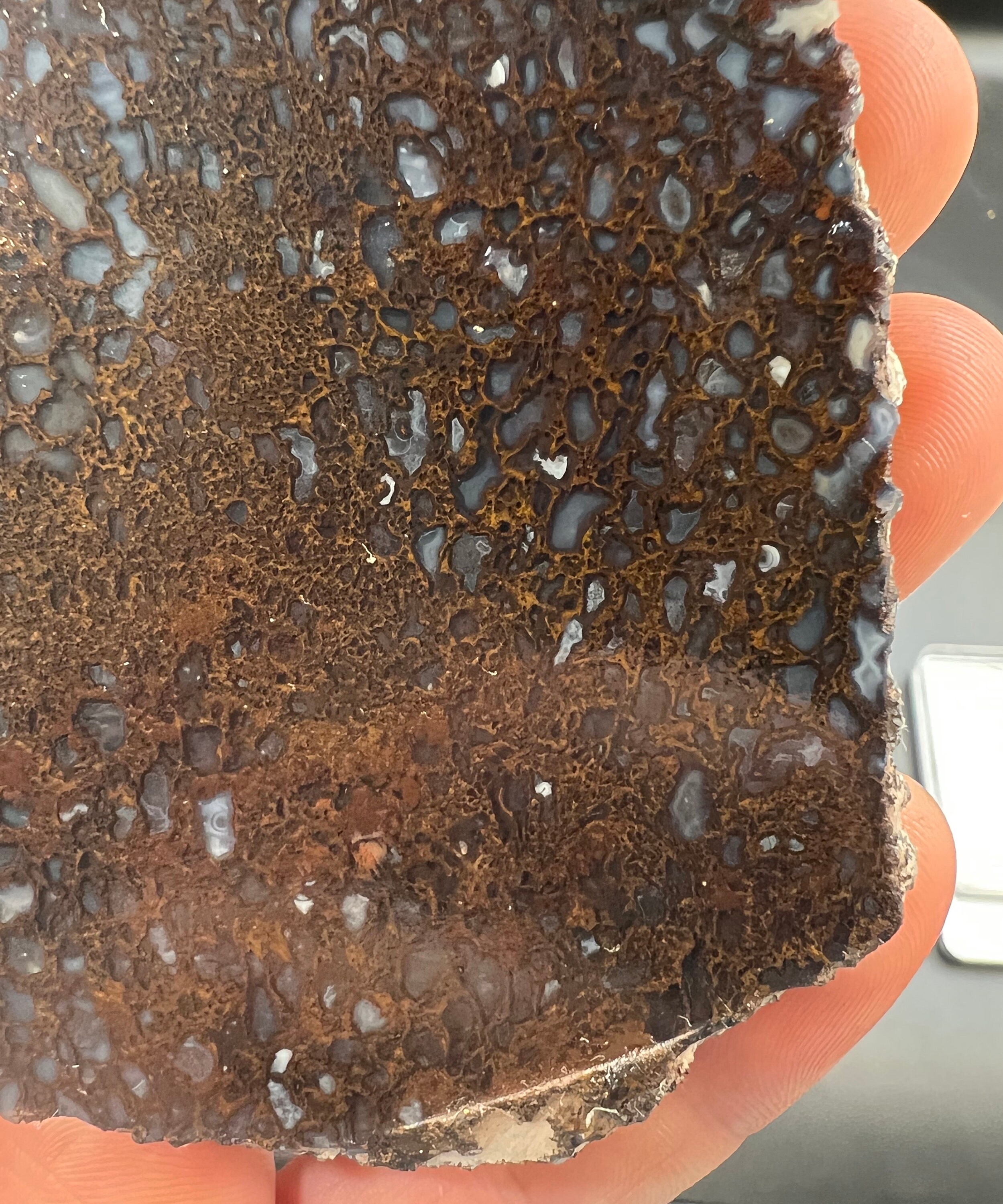 Gem Bone Slab - Etsy