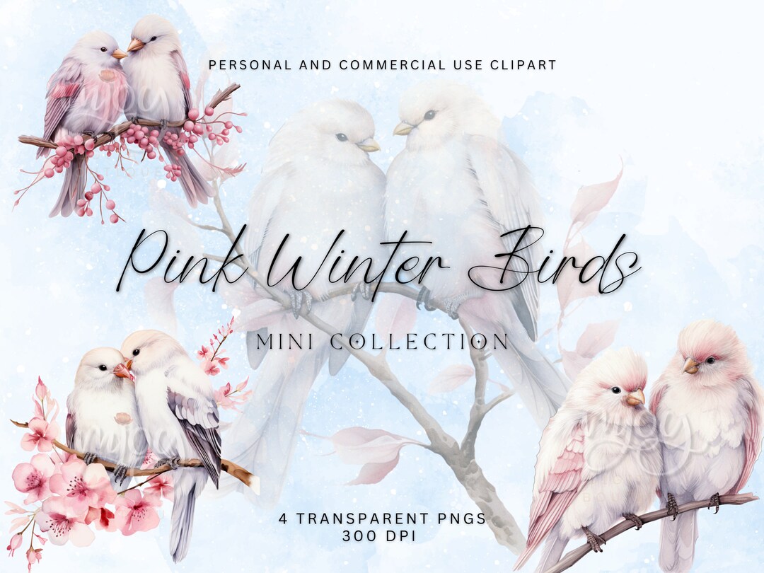 Pink Winter Birds Transparent Png Clipart, Elegant Watercolor Bird ...