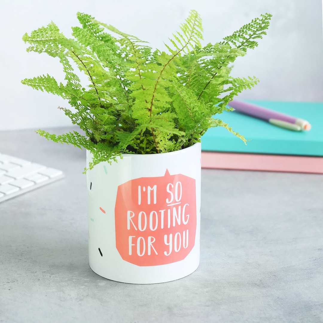 I'm so Rooting for You Indoor Plant Pot - Etsy