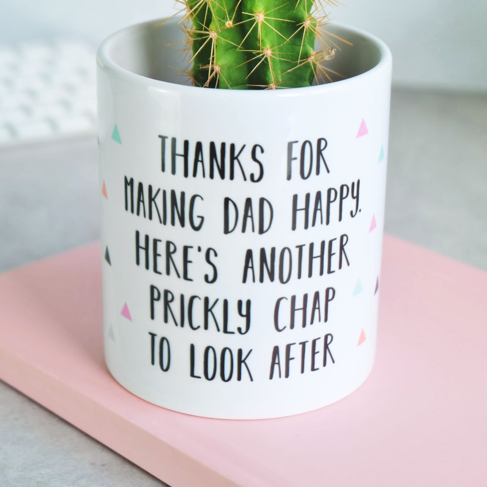 Thanks for Making Dad Happy. Here's Another Prickly Chap to Look After ...