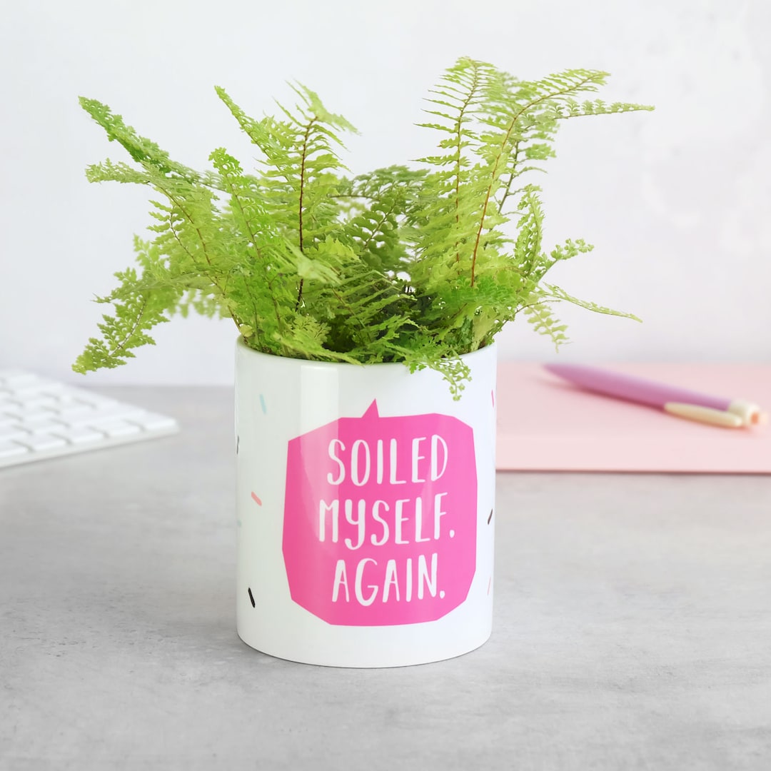 Soiled Myself. Again Indoor Plant Pot - Etsy
