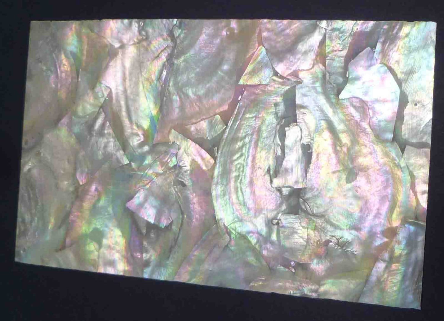 Paper, Party & Kids A Natural Genuine PAUA Inlay Real Shell Thin Sheet ...