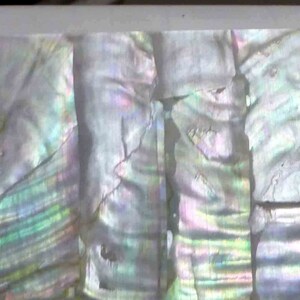 Genuine Mother of Pearl Shell Veneer Inlay Overlay Luthier Scrapbooking ...