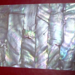 Genuine Mother of Pearl Shell Veneer Inlay Overlay Luthier Scrapbooking ...