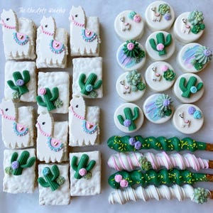 Custom Party Treat Package – Cake Pops, Oreos, Pretzel Twists, Rice ...