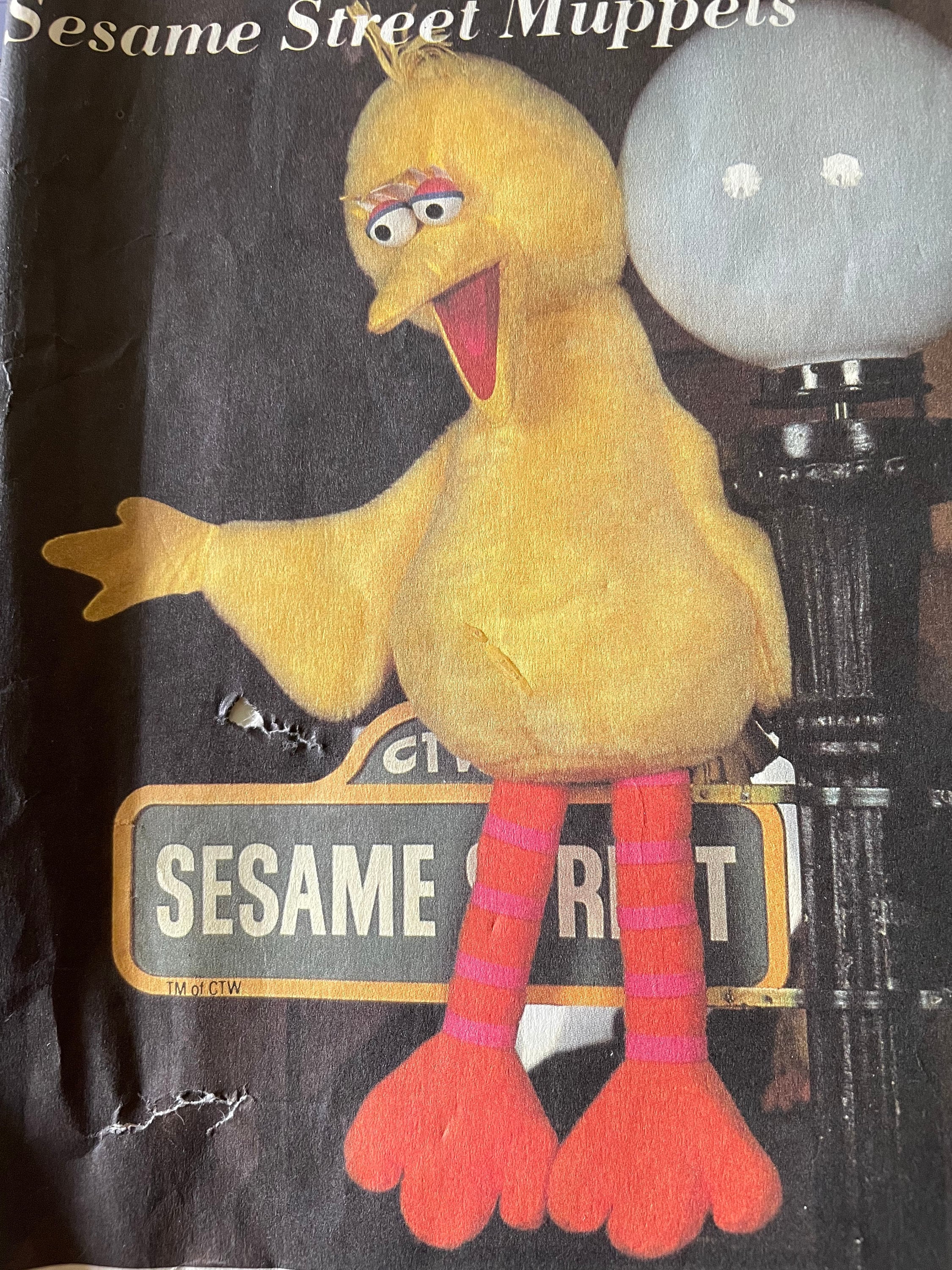 Big Bird Beak Template