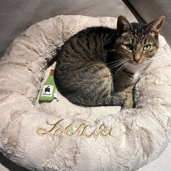 Personalized Dog Bed - Etsy