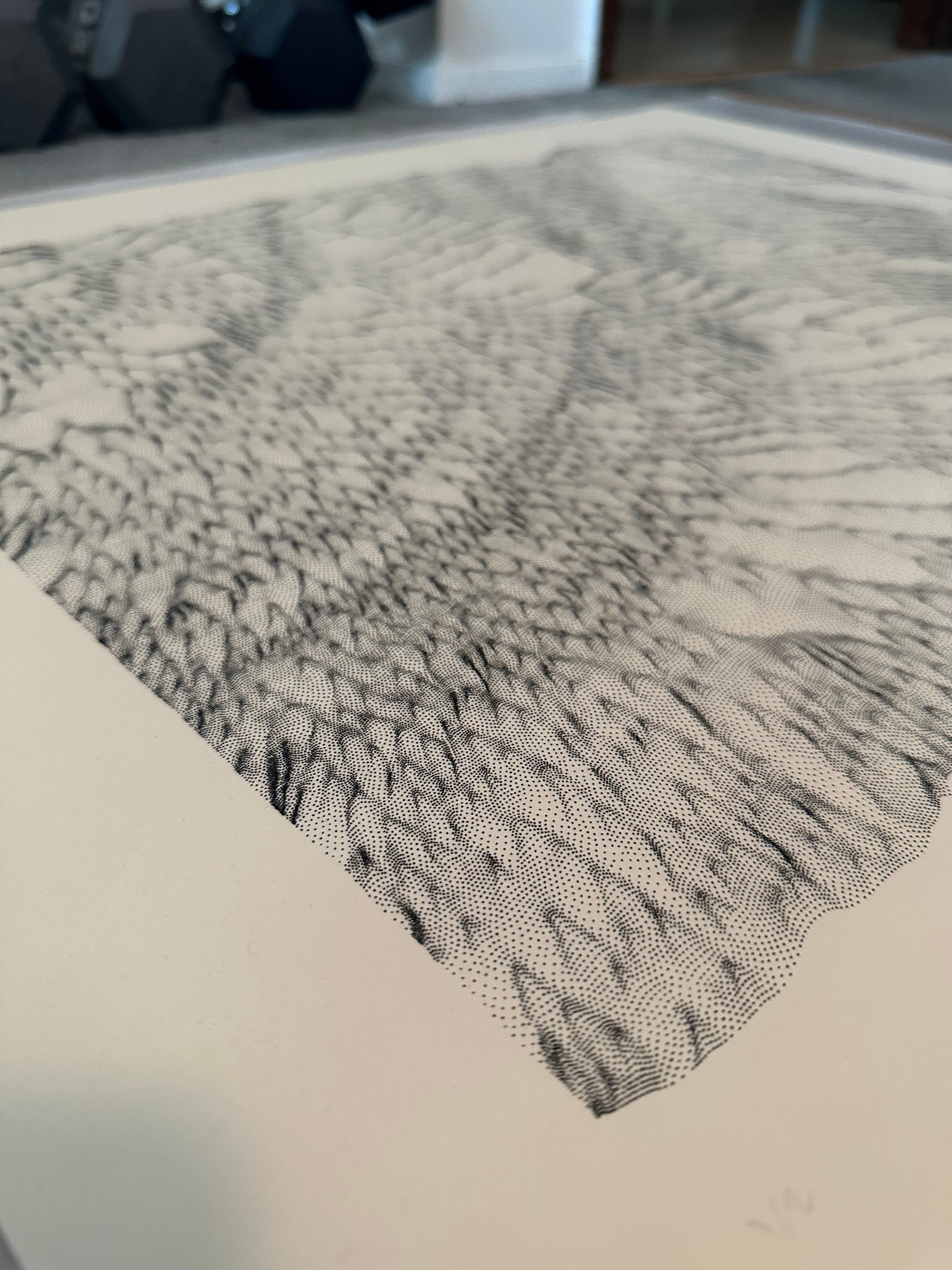 22x28inch Stippling Print - Etsy