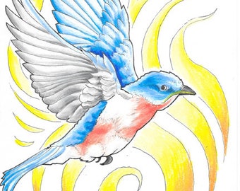 Original Colored Pencil Drawing Blue Bird - Etsy