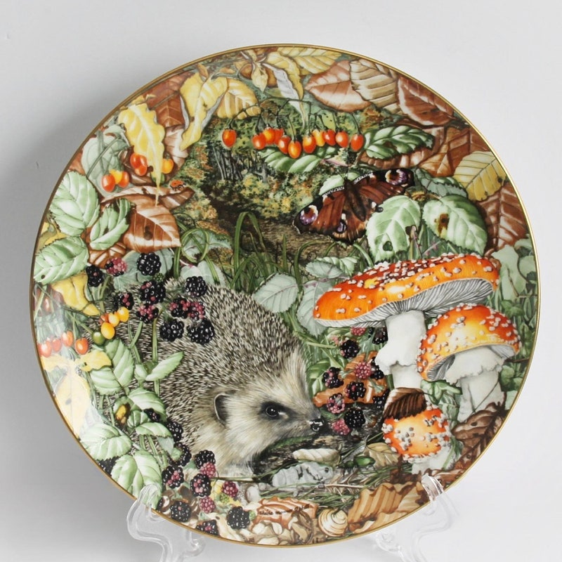 Hedgehog Plate - Etsy
