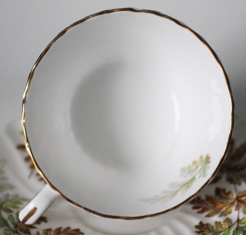 Aynsley Teacup and Saucer, Pattern C1191, Ferns Fronds - Etsy