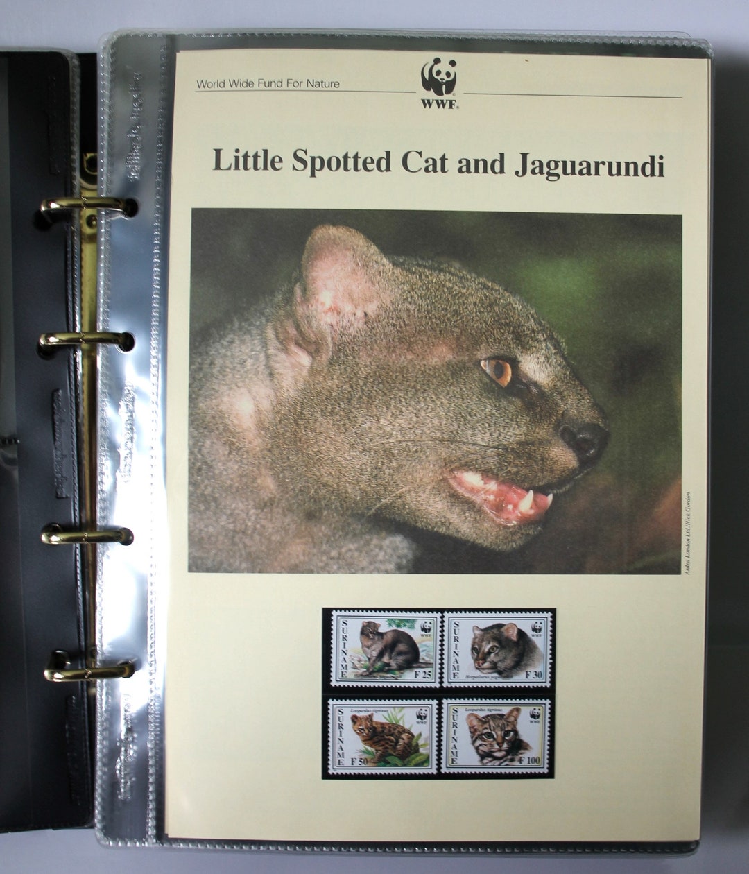 World Wildlife Federation Stamp Collection 1995 Deluxe Edition - Etsy