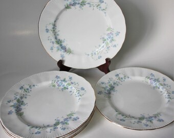 Forget Me Not China - Etsy