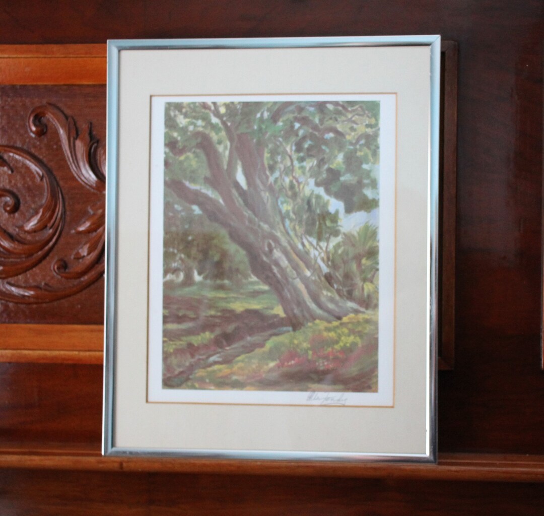Live Oak Tree Watercolor Print Signed Albert Fendig 1995 - Etsy
