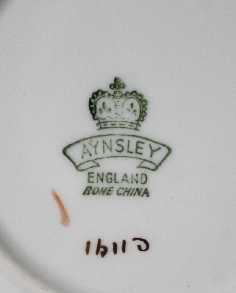 Aynsley Teacup and Saucer, Pattern C1191, Ferns Fronds - Etsy