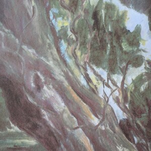 Live Oak Tree Watercolor Print Signed Albert Fendig 1995 - Etsy