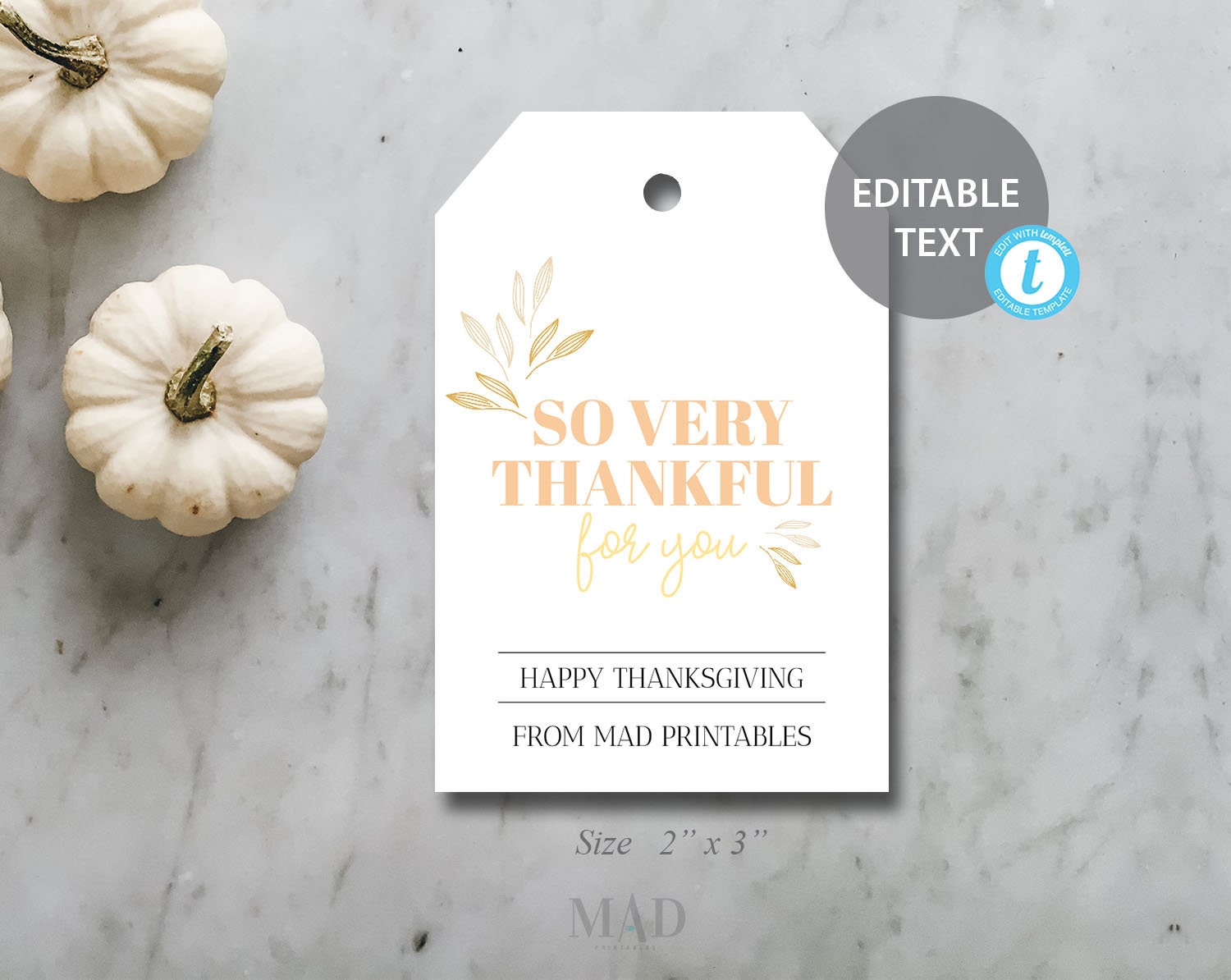 EDITABLE so Very Thankful Tag Template, Fall, Thanksgiving Favor Labels ...
