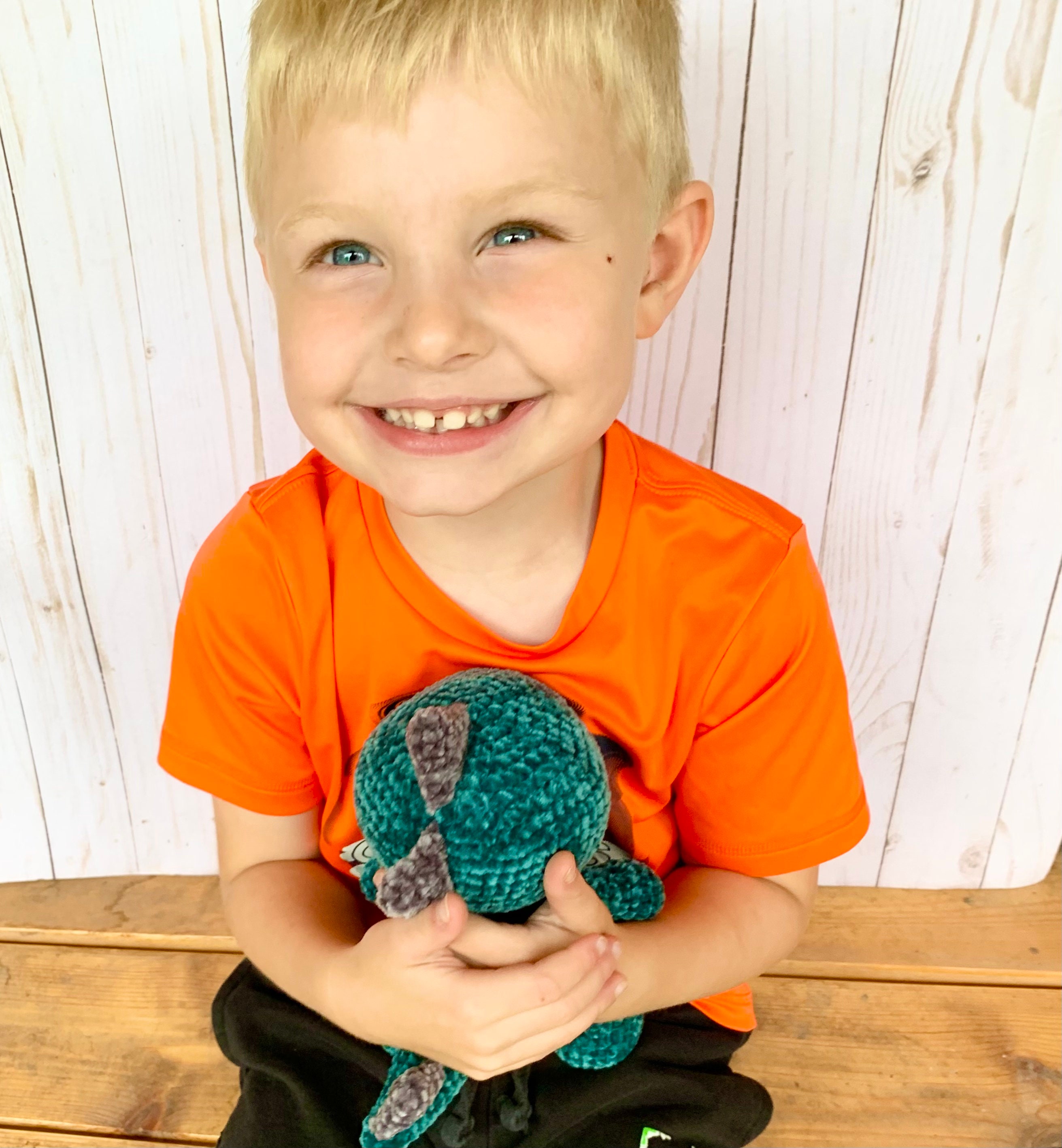 Dinosaur Stuffed Animal Dinosaur Stuffie Dinosaur Plush Velvety Soft ...