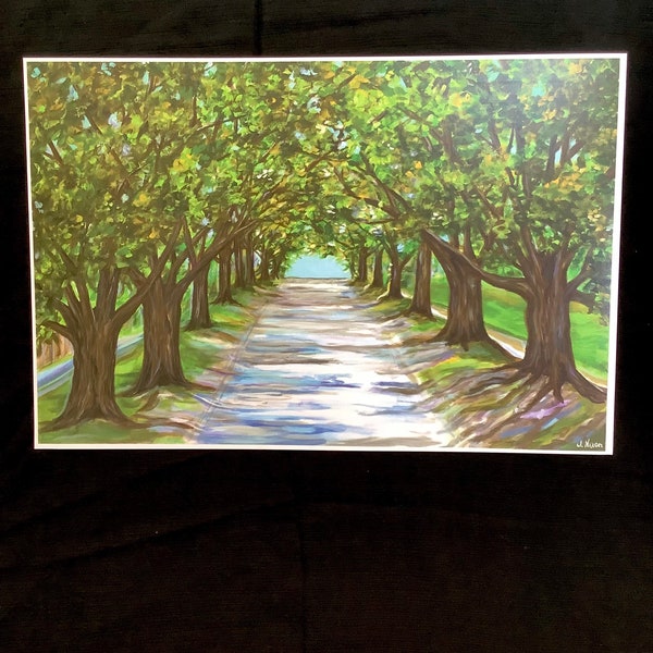 Tunnel of Trees - Etsy
