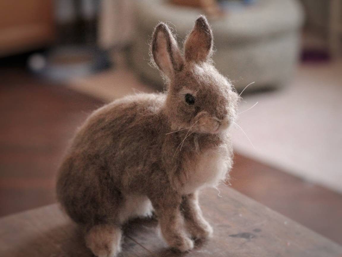 Needle Felted Eastern Cottontail Rabbit Made to Order - Etsy UK